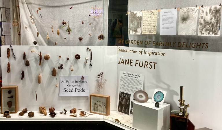 Jane Furst Exhibition | Intra Arts